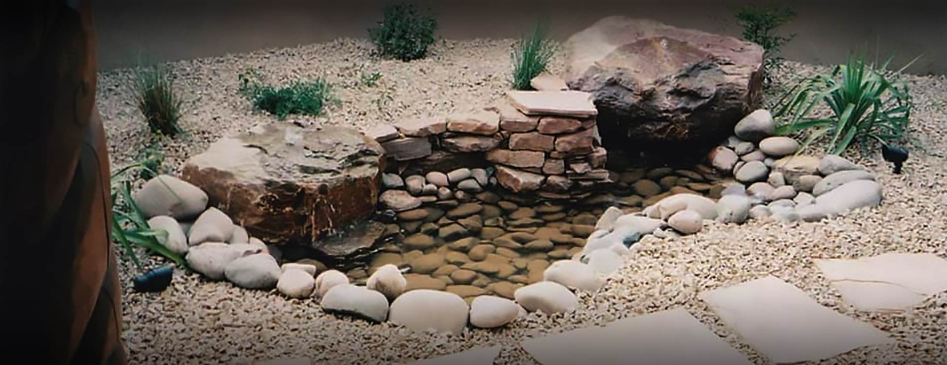 Services - Clean Cut Lawn Service : Clean Cut Lawn Service